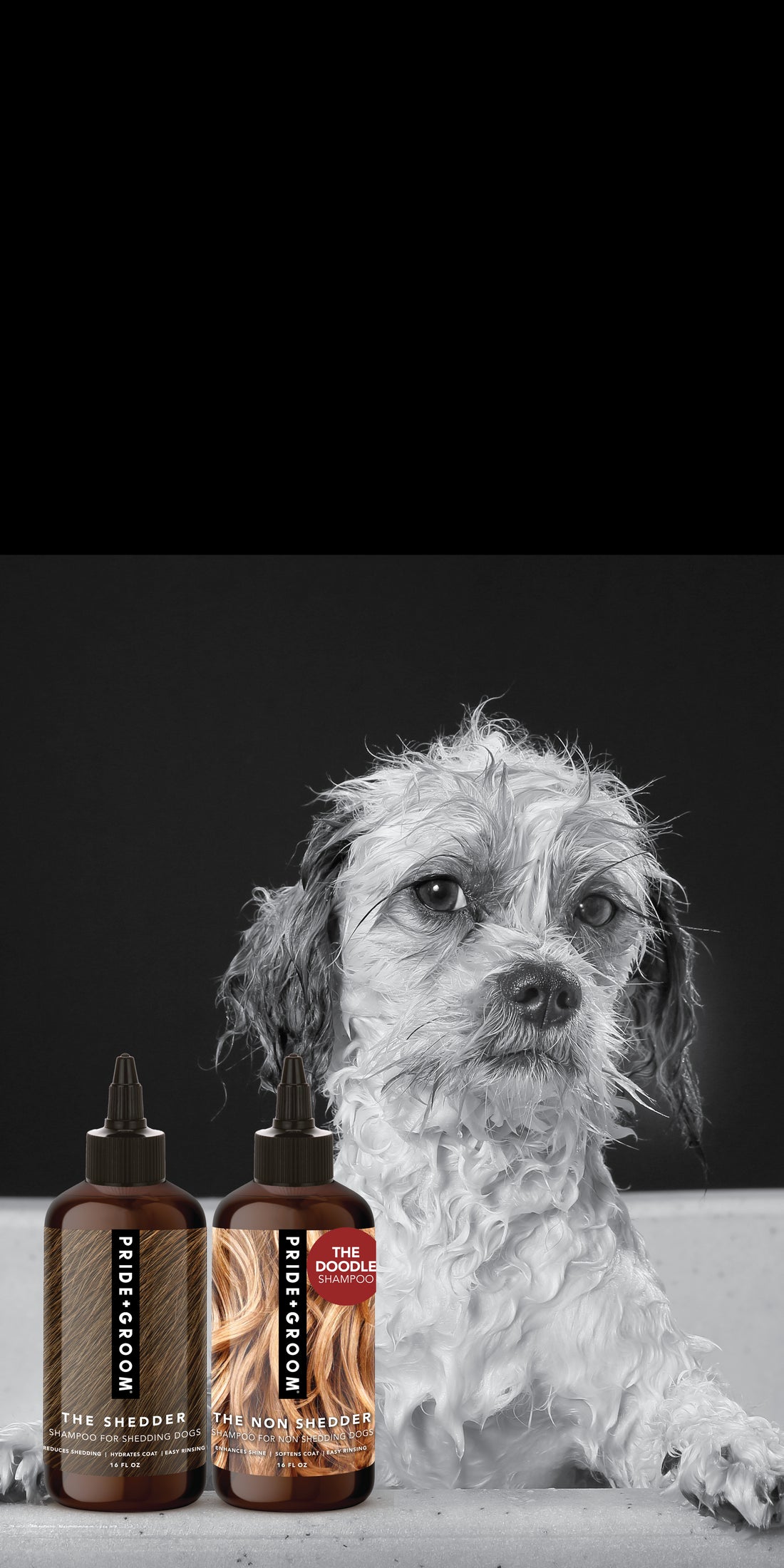 Coat-Specific Dog Grooming Products | Pride+Groom