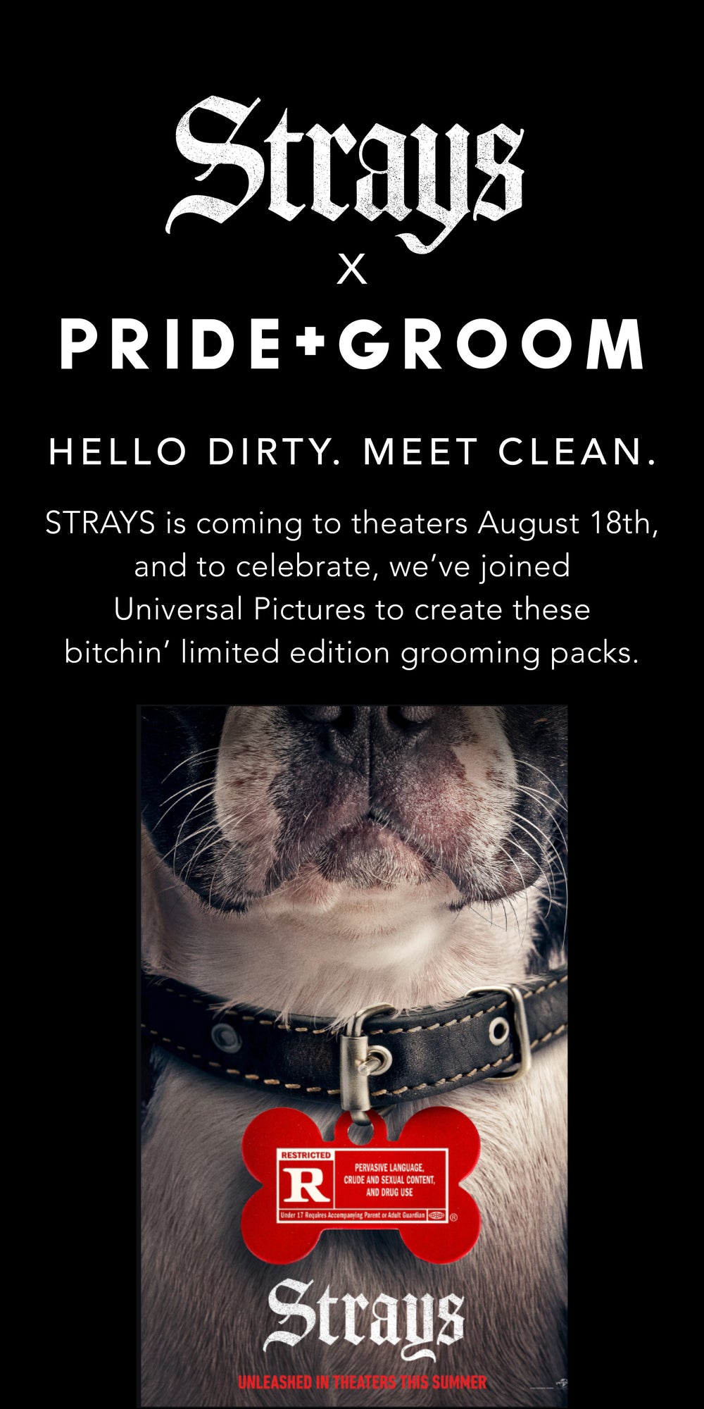 Strays Movie Limited Edition Dog Grooming Kit | Pride & Groom